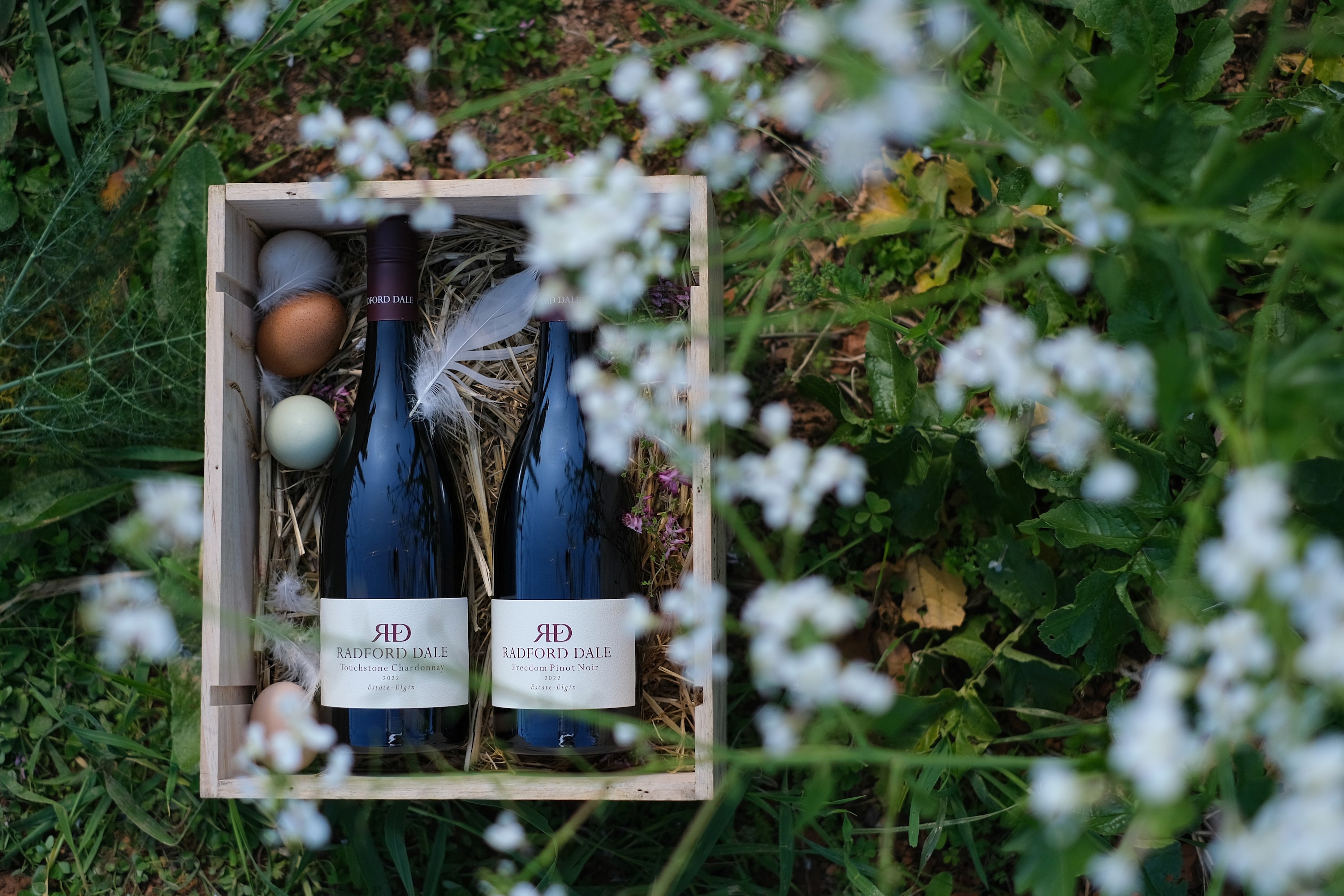 Radford Dale Wine Imagery